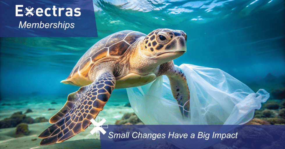 Plastic-Free July: Tips for Offices to Reduce Plastic Waste